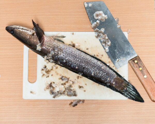 How to Clean Fish and Remove Scales: A Step-by-Step Guide | Cosmo ...
