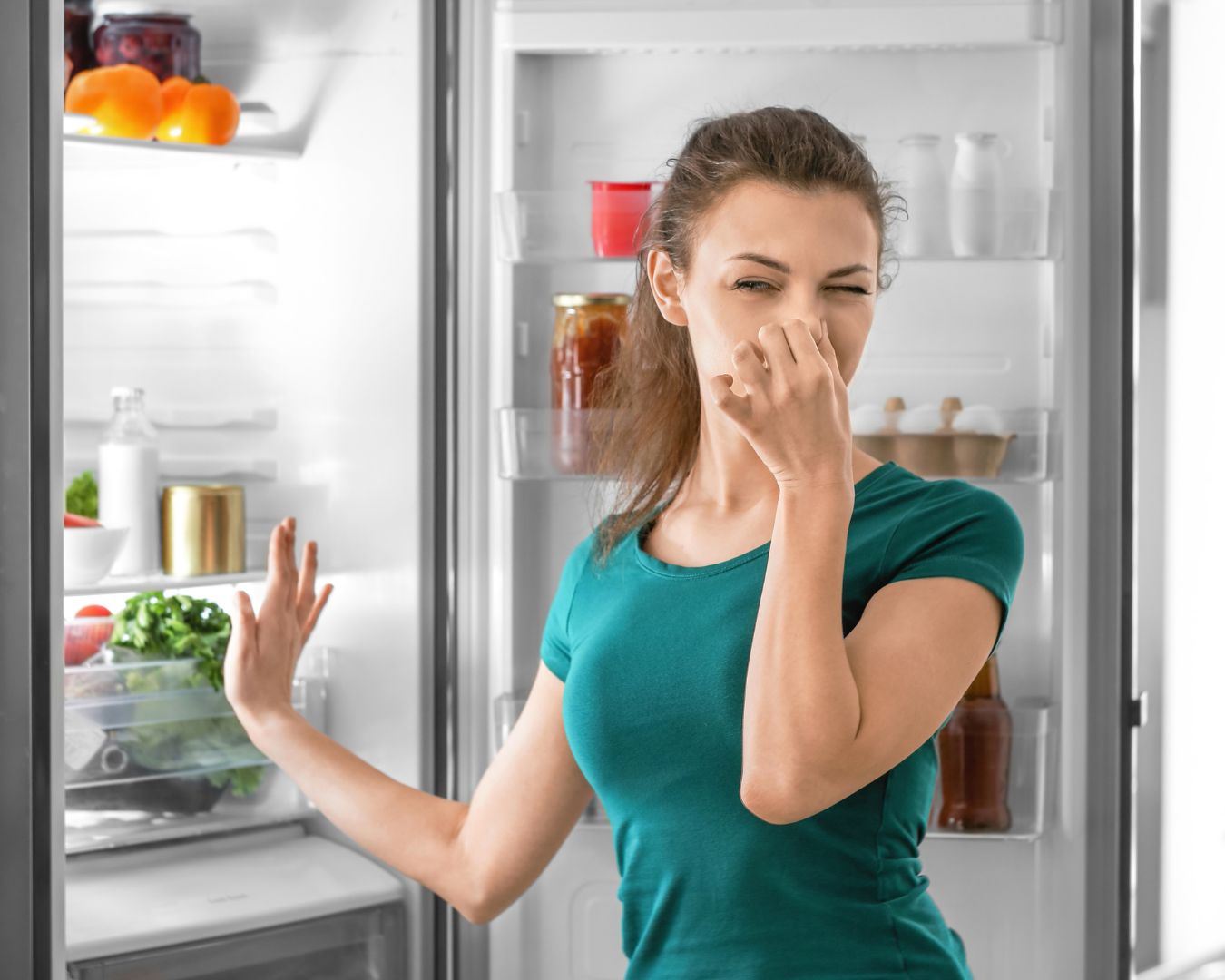 The Role of Temperature Control in Refrigerators: Keeping Your Food ...