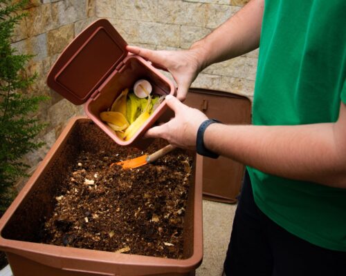 Composting in the Kitchen: How to Start and the Benefits for Your ...